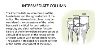 DISTAL END OF RADIUS FRACTURE AND DISLOCATION MANAGEMENT.pptx