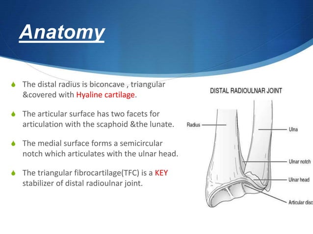 Distal end of radius fractures dr.harish | PPTX | Death, Injury, or ...