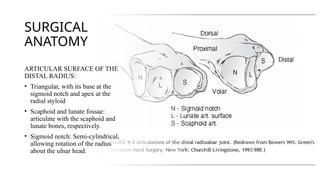 DISTAL END RADIUS ANATOMY AND RADIOLOGICAL PRECISION IMAGING .pptx