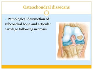 Distal femoral fresh osteochondral allografts | PPT