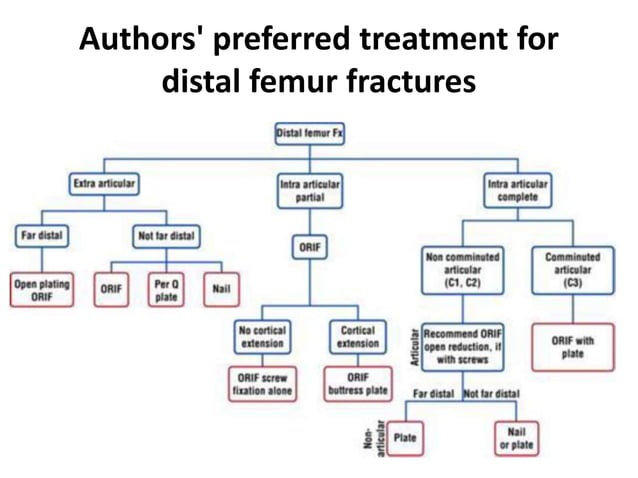 distal femoral fx2.pptx | First Aid | Injuries
