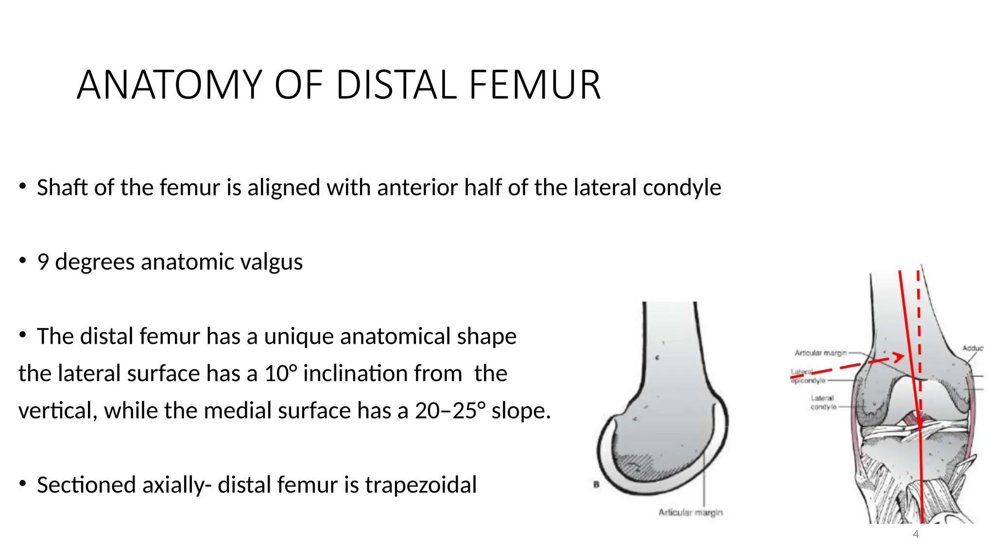 Distal Femur fracture fixation along surgical approach | PPTX