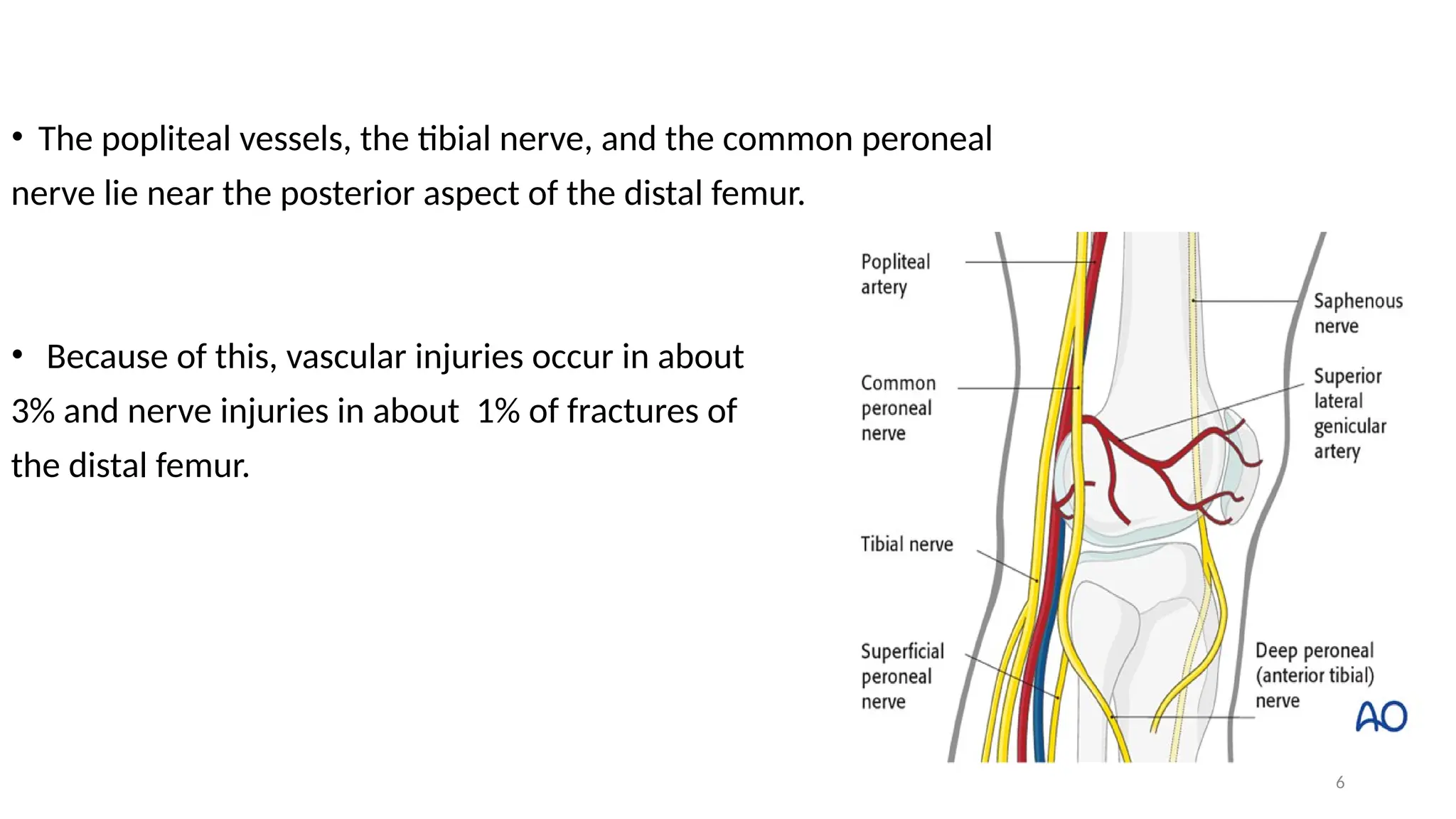 Distal Femur fracture fixation along surgical approach | PPTX