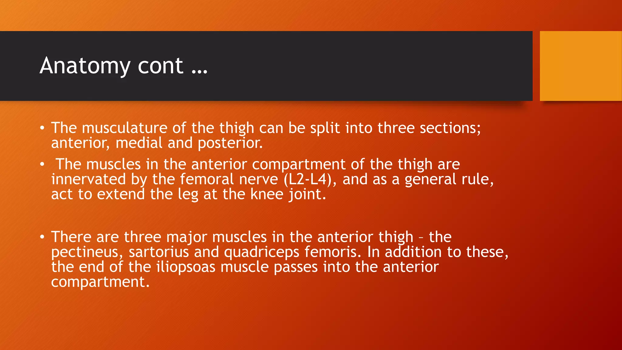 Distal Femur Fractures Ppt