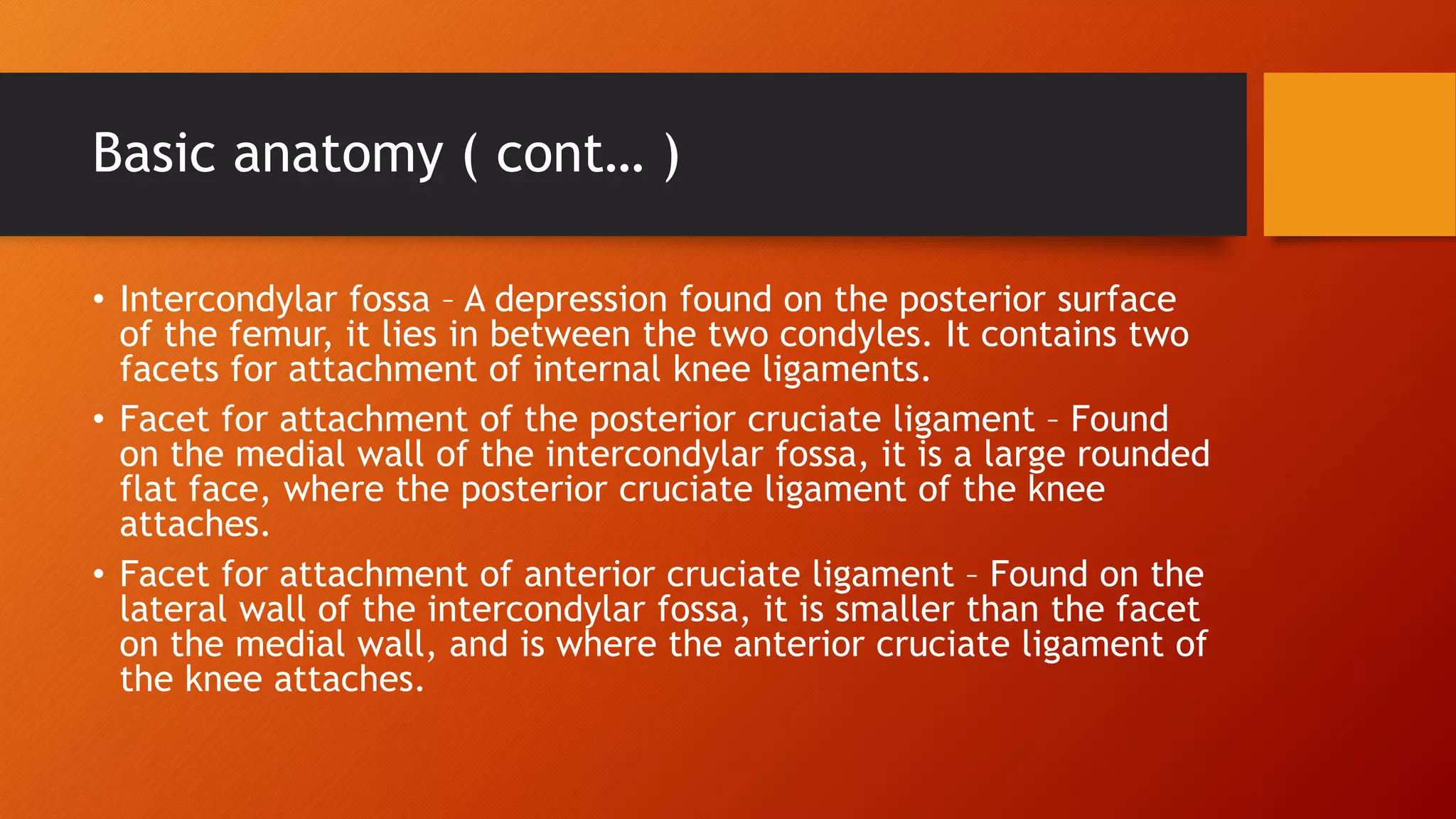 Distal Femur Fractures Ppt