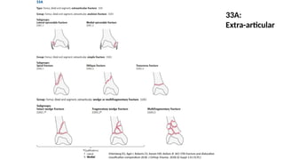 Distal Femur Fractures (1).pptxwell explained | PPTX