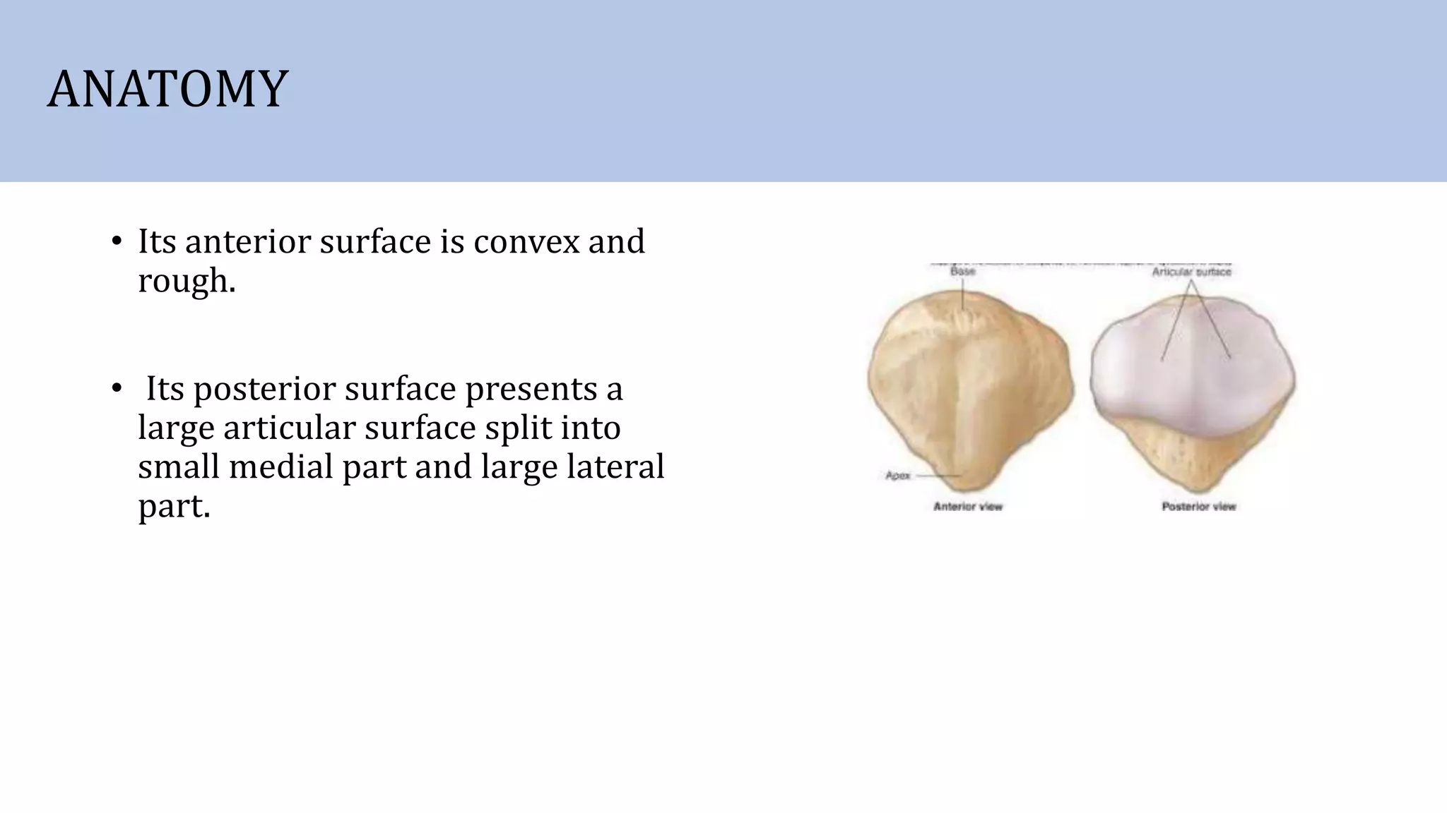 DISTAL FEMUR, PATELLA, PROXIMAL TIBIA FRACTURE.pptx