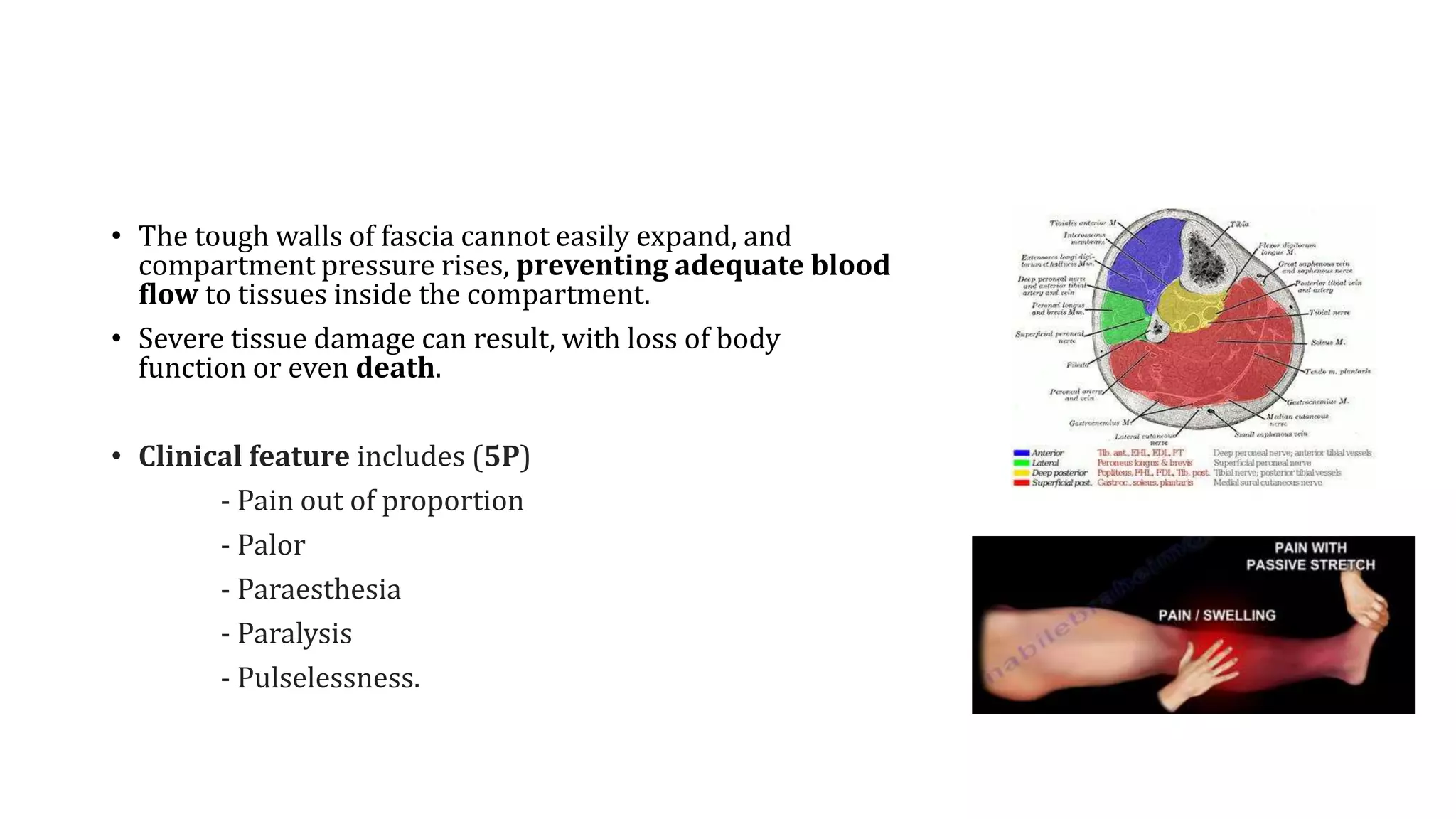 DISTAL FEMUR, PATELLA, PROXIMAL TIBIA FRACTURE.pptx