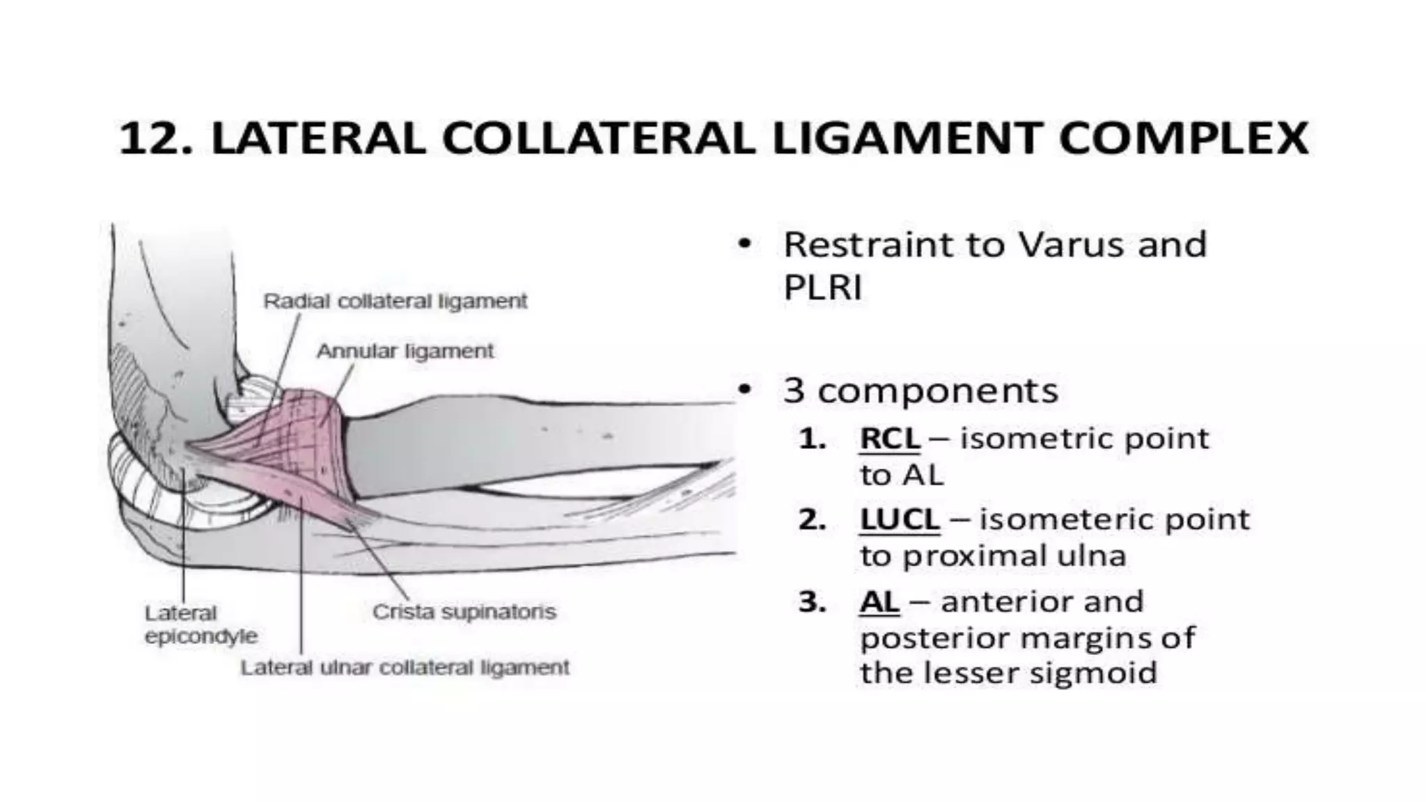 Distal humeral fracture | PPTX