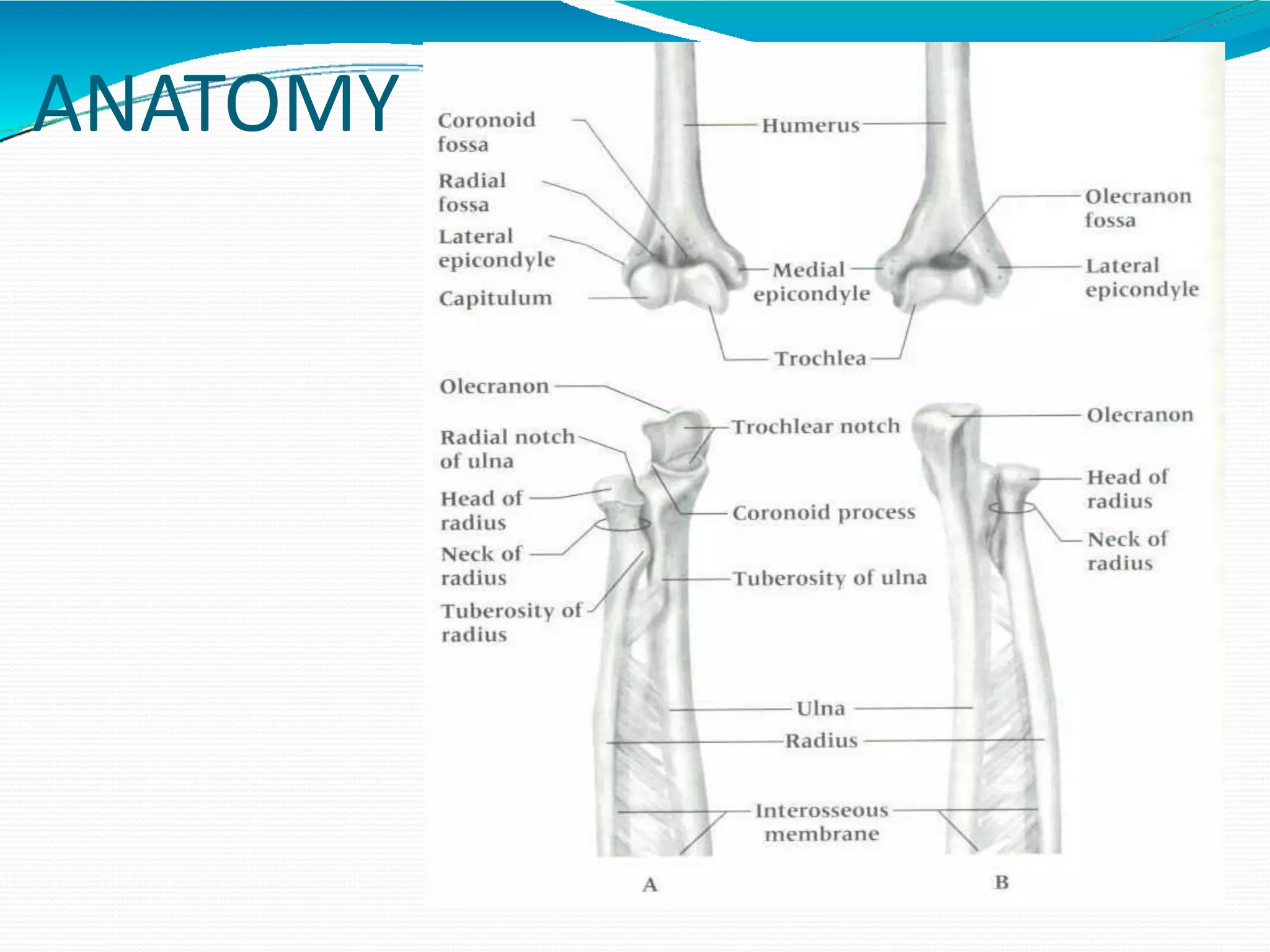 Distal humerus fracture in pediatrics by dr ashutosh | PPT