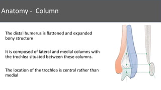 Distal Humerus Fractures.pptx