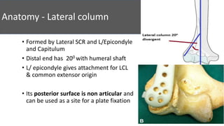 Distal Humerus Fractures.pptx