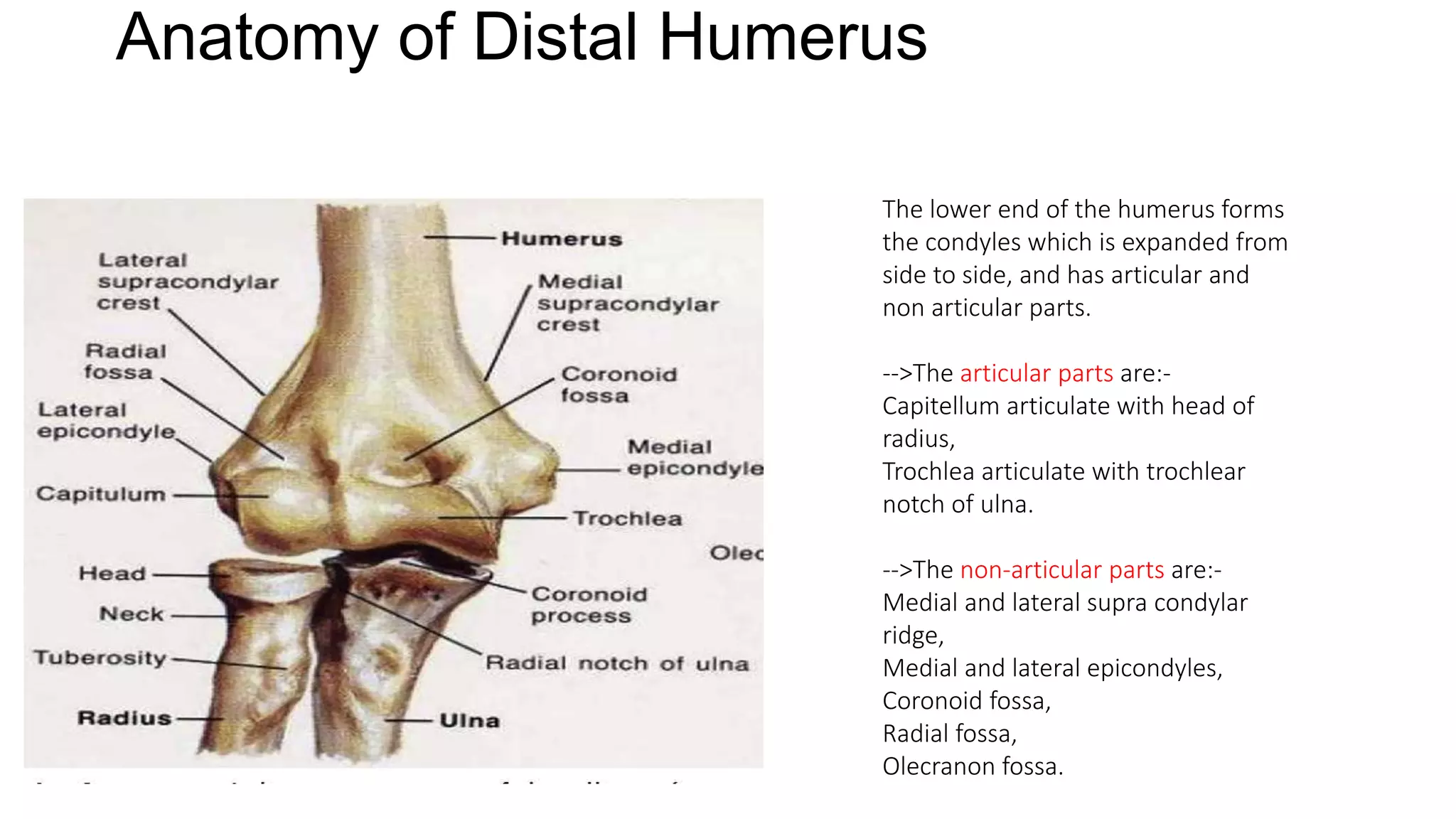 Distal humerus journal.pptx
