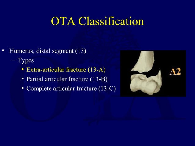 Distal humerus revised | PPT