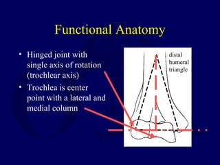 Distal humerus revised | PPT