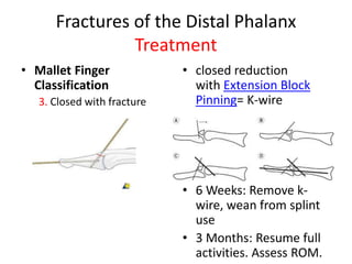 Distal phalanx fracture | PPTX