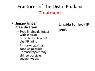 Distal phalanx fracture | PPTX