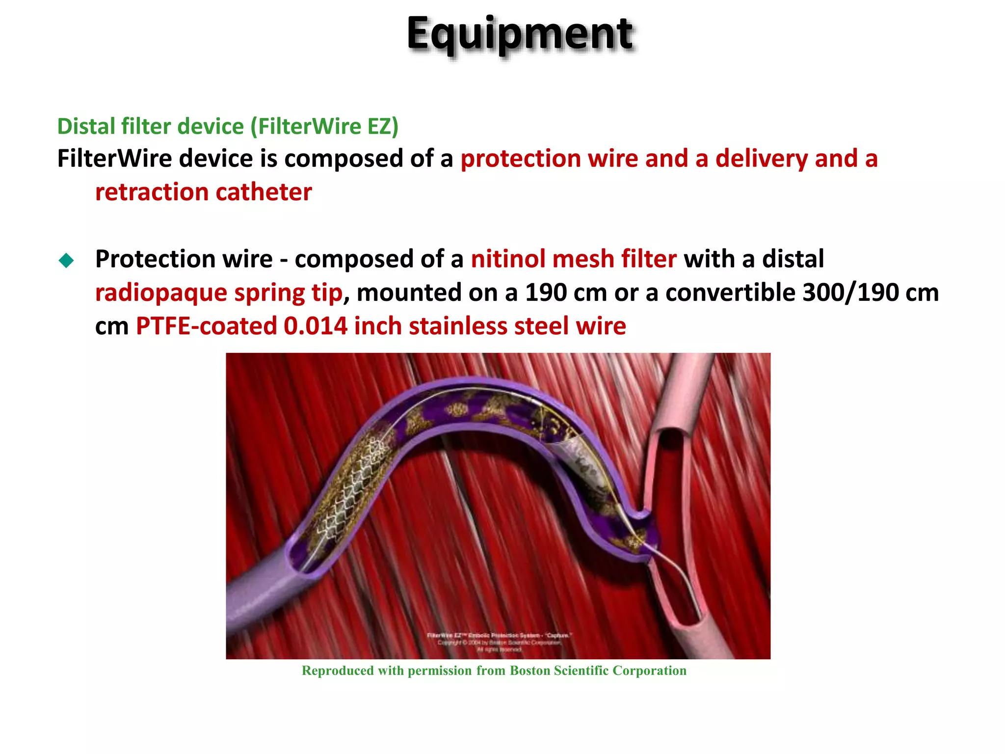 Distal protection device | PPTX