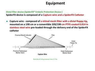 Distal protection device | PPTX