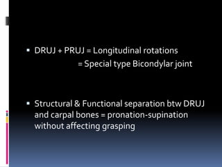 Distal radioulnar joint | PPT