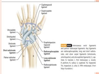 Distal radioulnar joint injuries( DRUJ) and carpal instability | PPTX