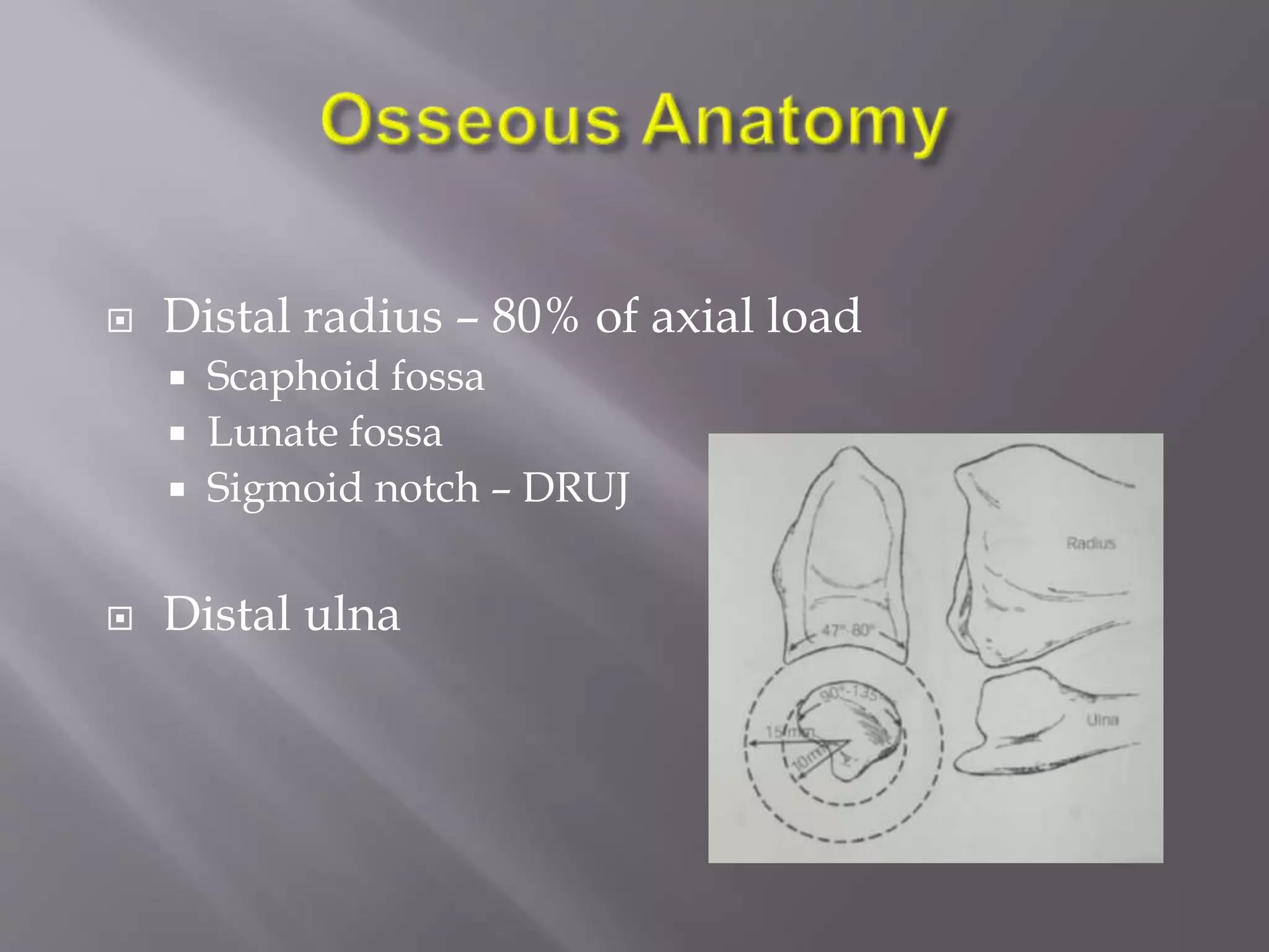 Distal radius fracture | PPTX