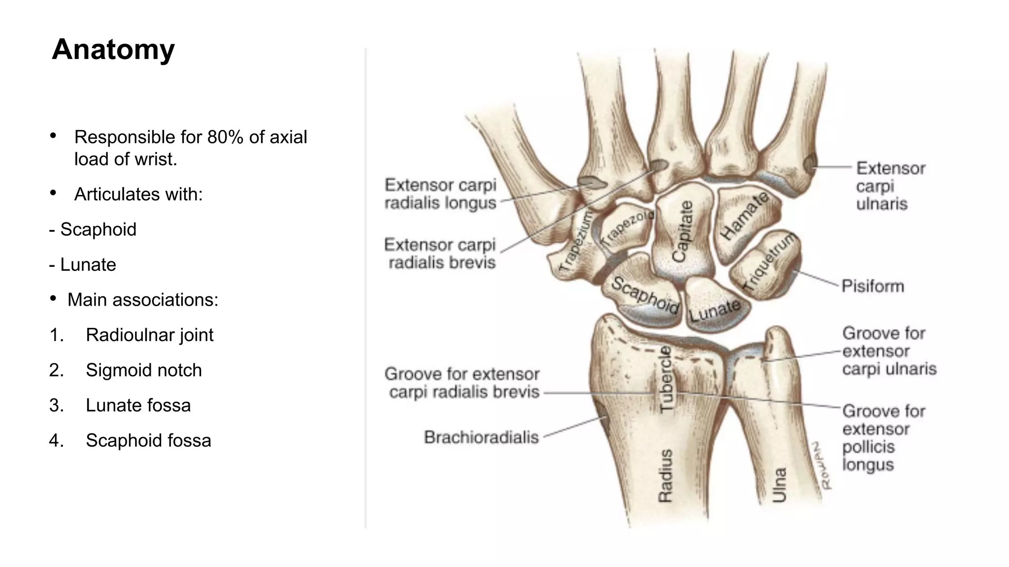 Distal radius fracture | PPTX