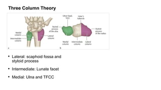 Distal radius fracture | PPTX