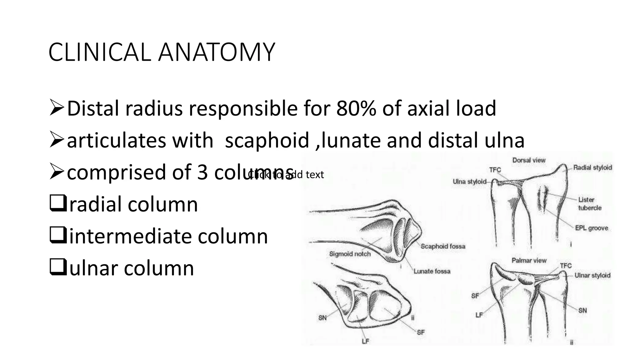 Distal radius fracture in adults | PPTX | First Aid | Injuries