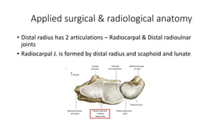 Distal radius fractures | PPTX