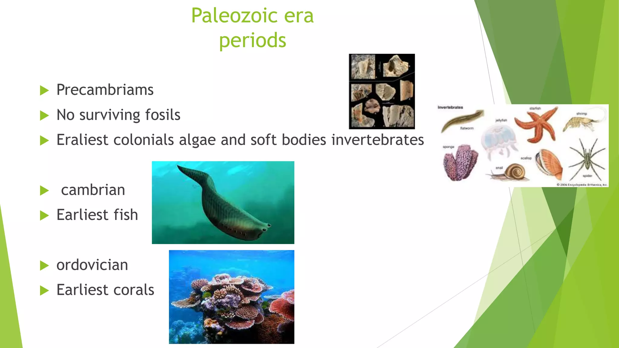 Geological time | PPTX
