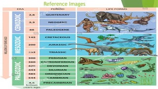 Geological time | PPT