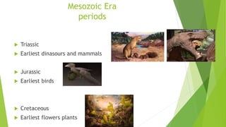 Geological time | PPT