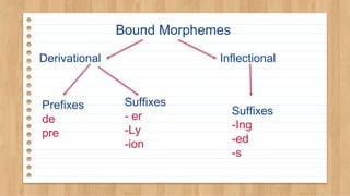 Conceptual Catigories | PPTX