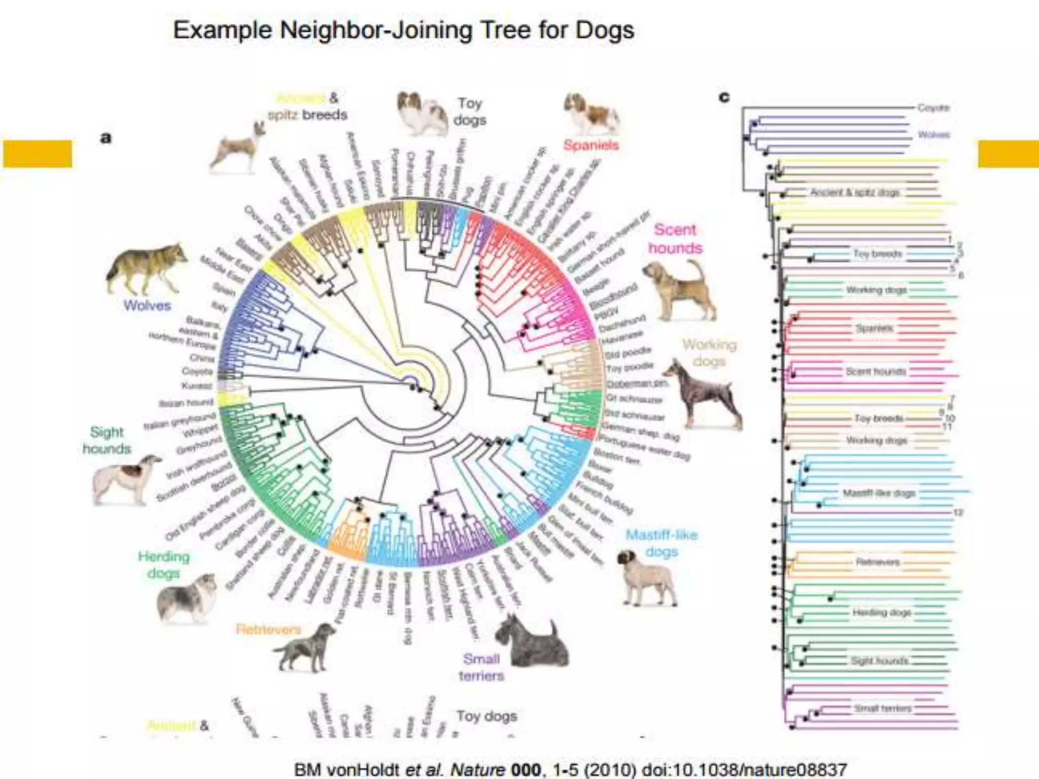 Distance based method | PPTX