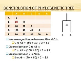 Distance based method | PPTX