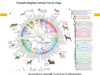 Distance based method | PPTX