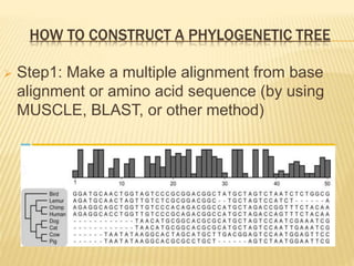 Distance based method | PPTX