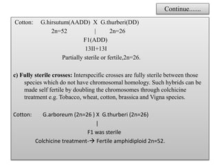 Distant Hybridization: An Introduction | PPTX
