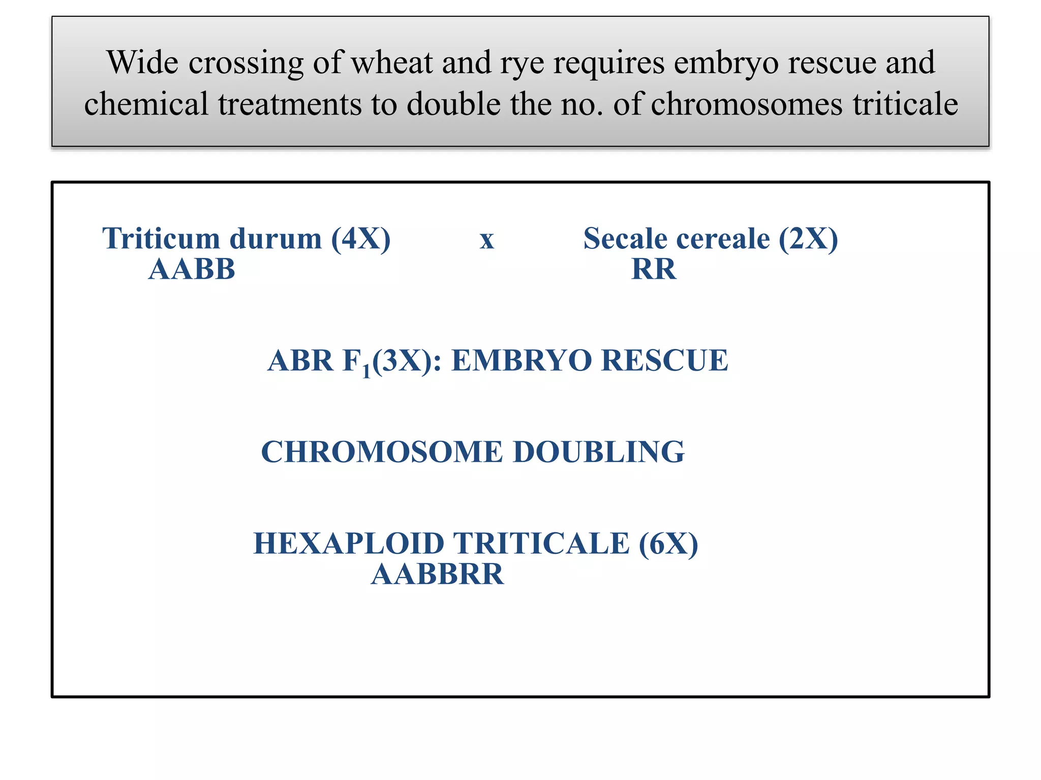 Distant hybridization | PPTX