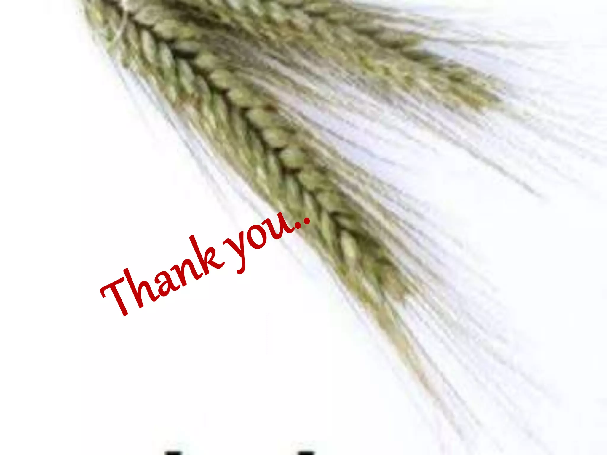 Distant hybridization | PPTX