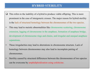 Distant hybridization | PPTX