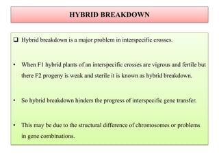 Distant hybridization | PPTX