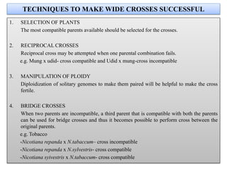 Distant hybridization | PPTX