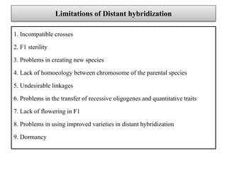Distant hybridization | PPTX
