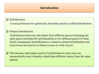 Distant hybridization | PPTX