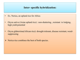 Distant hybridization | PPTX