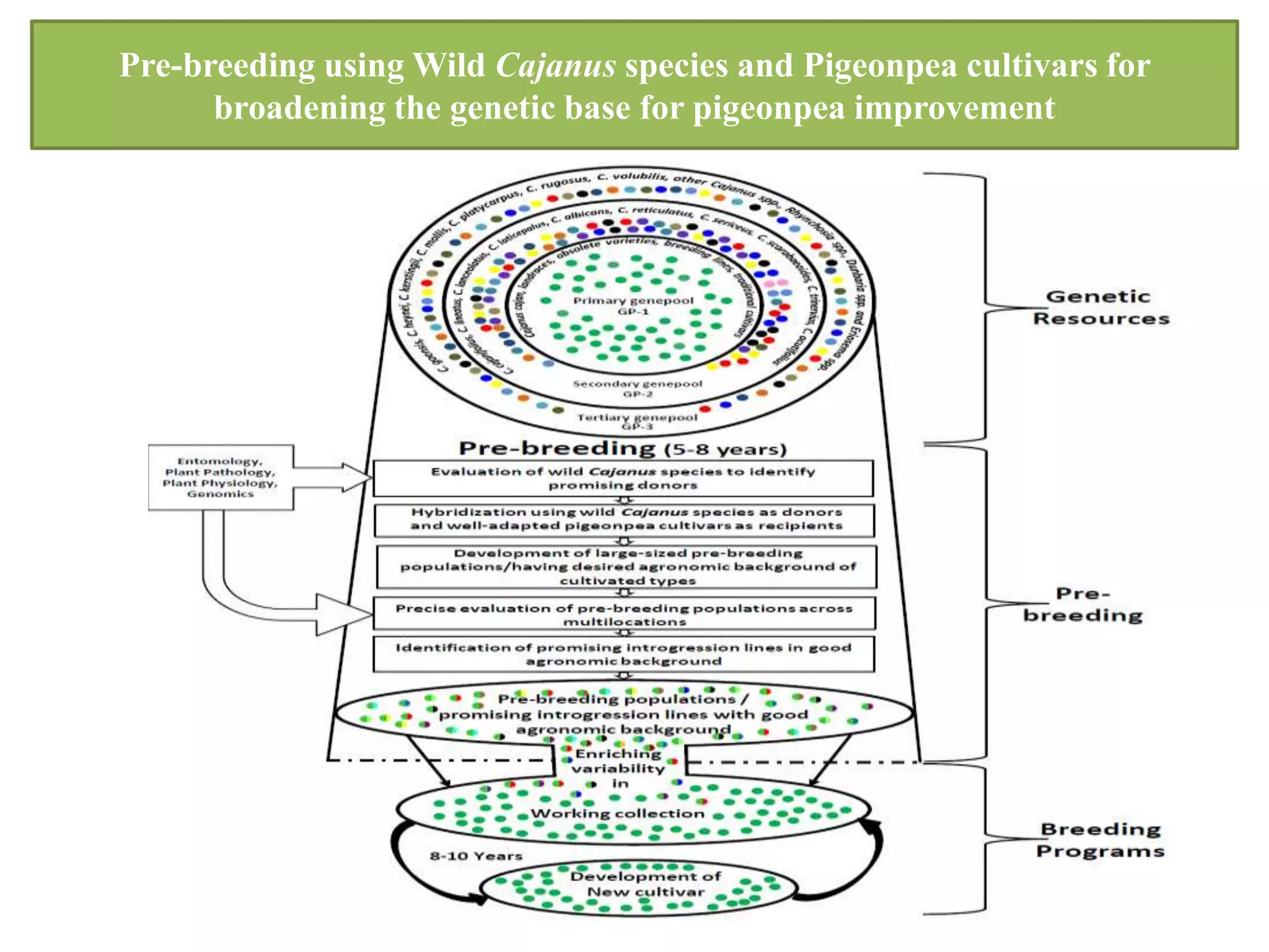 Distant hybridization - Copy.pptx