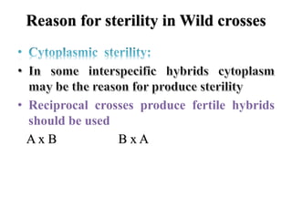 Distant hybridization - Copy.pptx