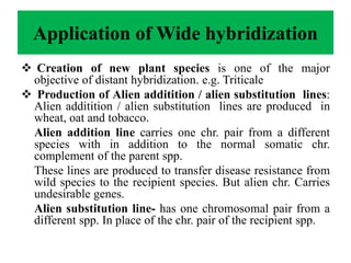 Distant hybridization - Copy.pptx